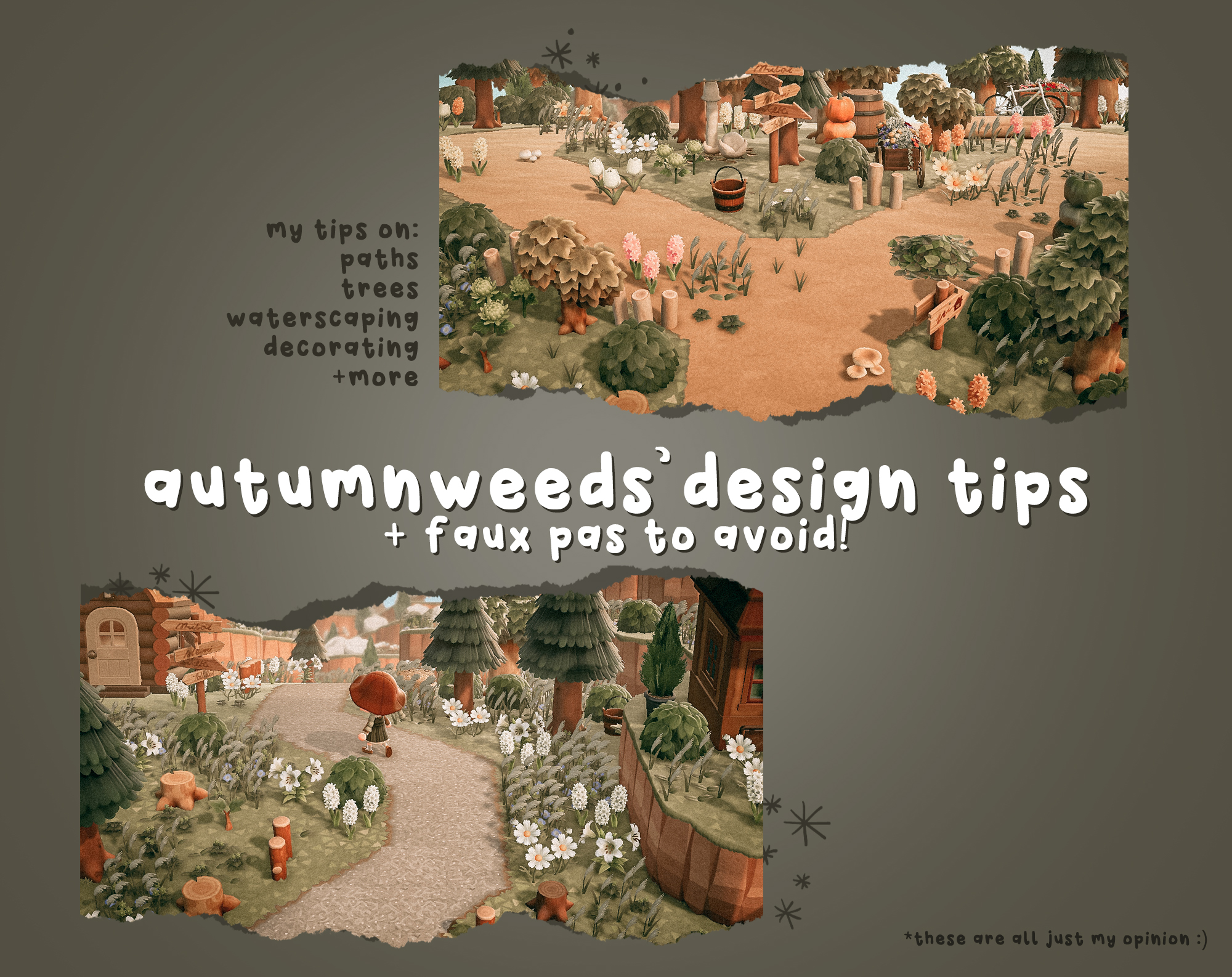 ali 🌿 on Twitter: "i’ve put together a guide for my most important tips ...