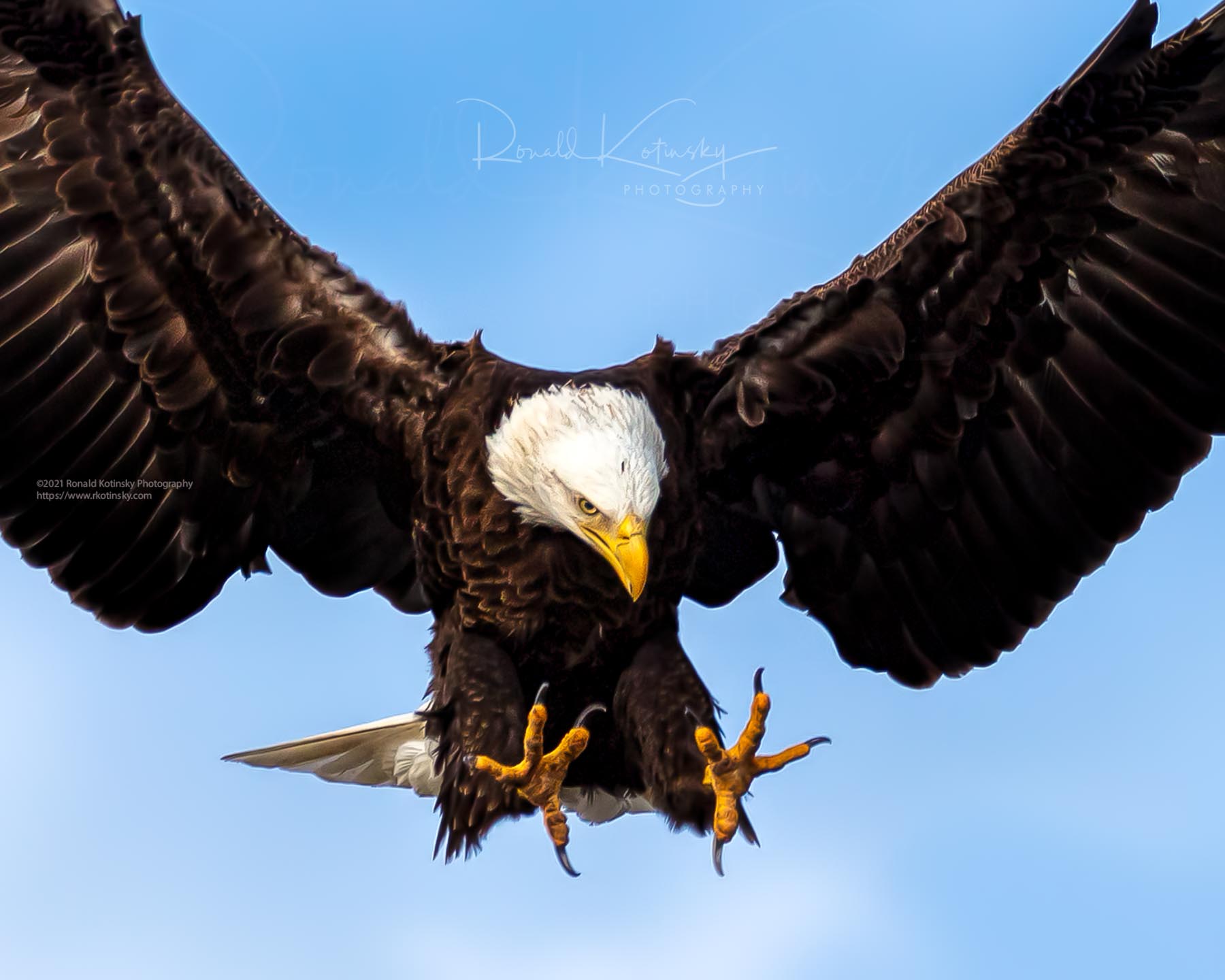 Eagle Landing Front View