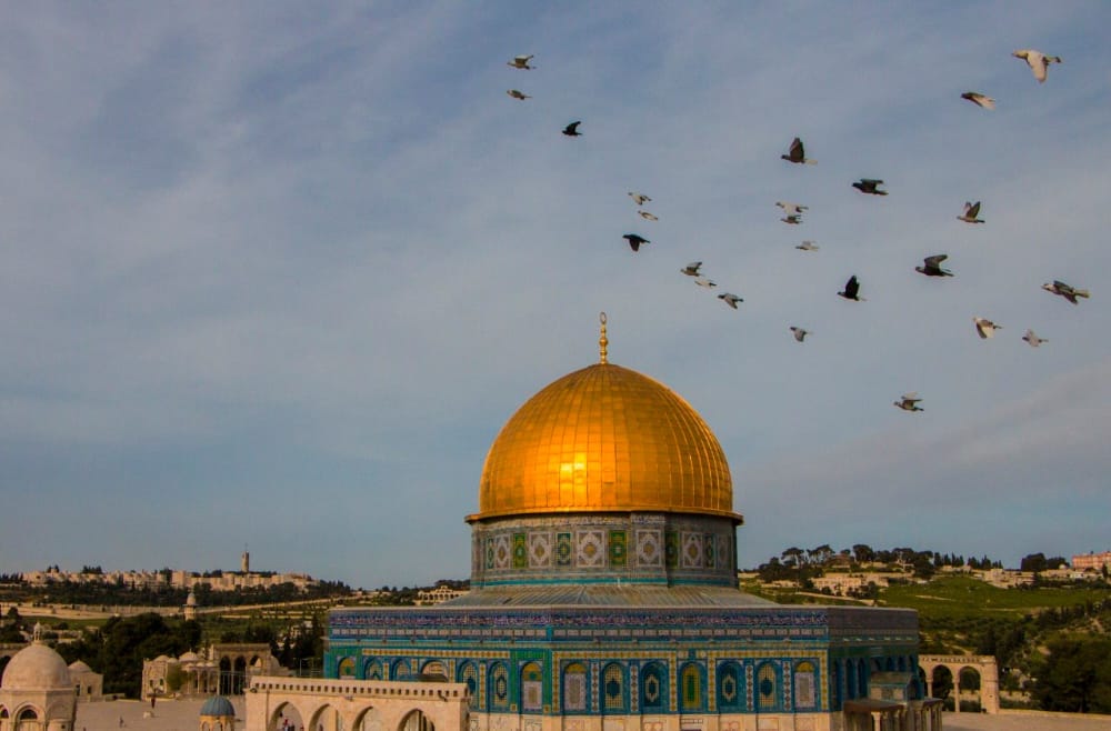 NOHA-SNIMA (@SnimaNoha) | Twitter