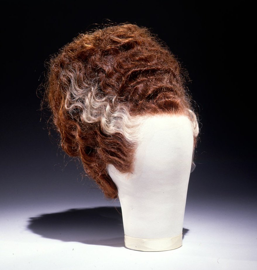 Bride Of Frankenstein Wig Authentic