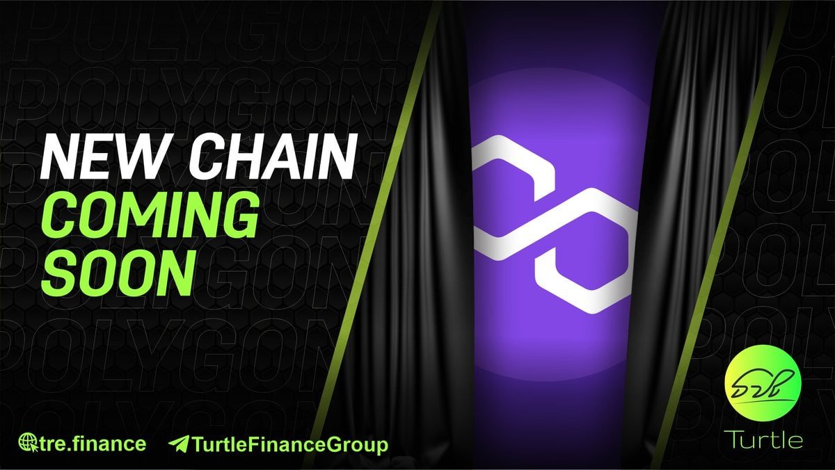 🟣 𝐏𝐨𝐥𝐲𝐠𝐨𝐧 𝐒𝐩𝐚𝐜𝐞 🟣 on Twitter: "🐢@Turtle_Finance_ will be live available on @0xPolygon chain 🐢# ...