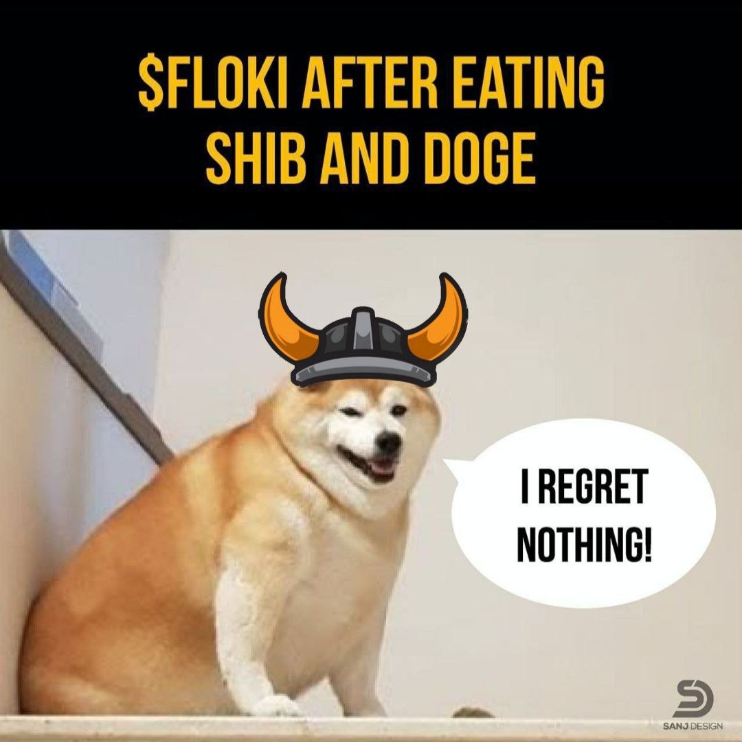 Floki Memes