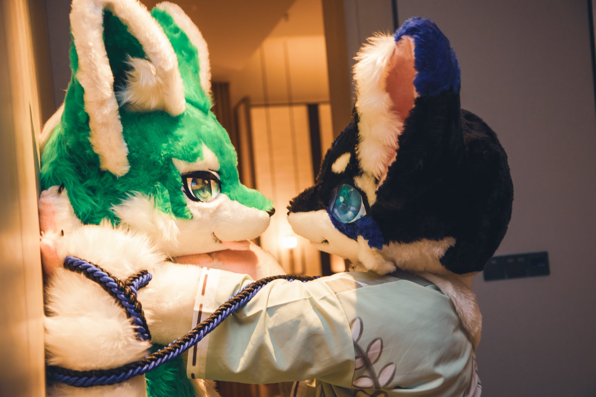 梓夏🐾Tsuha🐾ツハ@VRC🔜JMoF2023 on Twitter: "今朝梦醒与君别 with Valt @Aoi_SAMAdesu 📸：Aaron & JoN @FurfurN7 # ...
