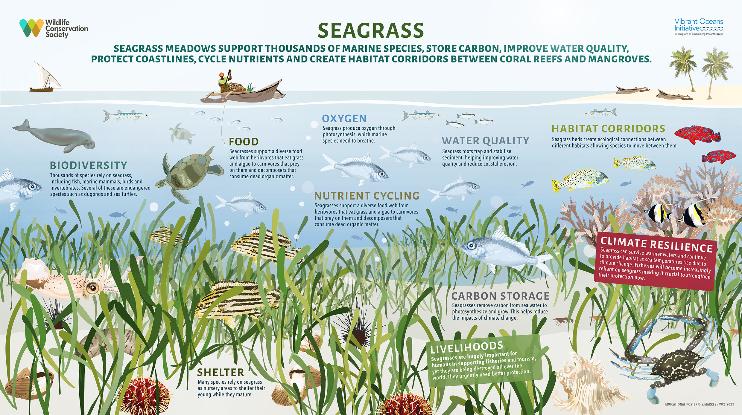 Labeled Wetland Food Web