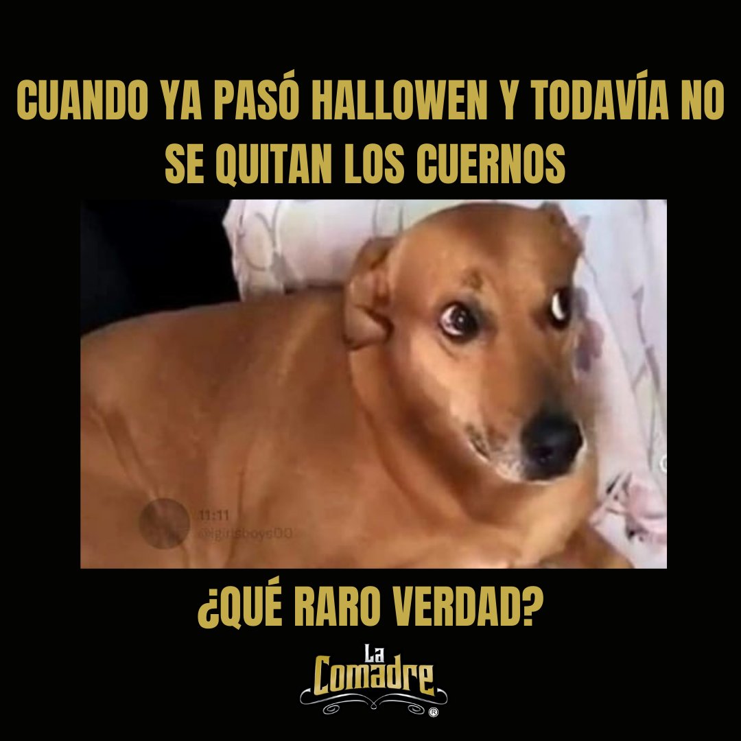 La Comadre Memes Memes Chistosos Que Conste Que Es Por Pura