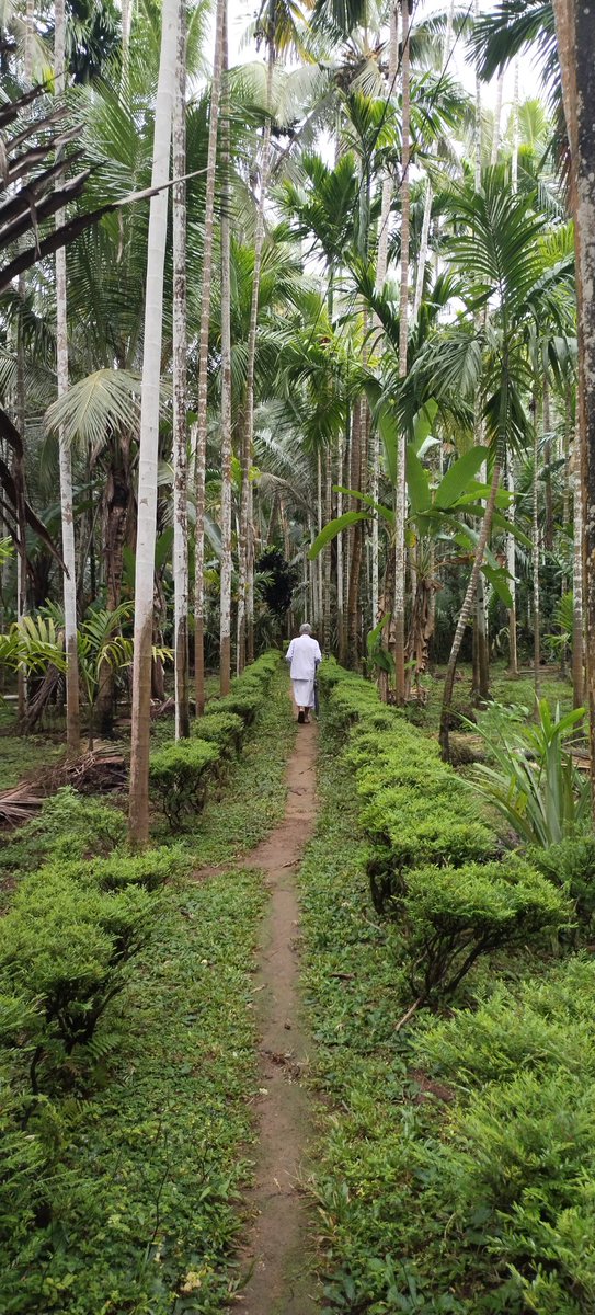 Ananthu V Dev (@Ananthuvdev) | Twitter