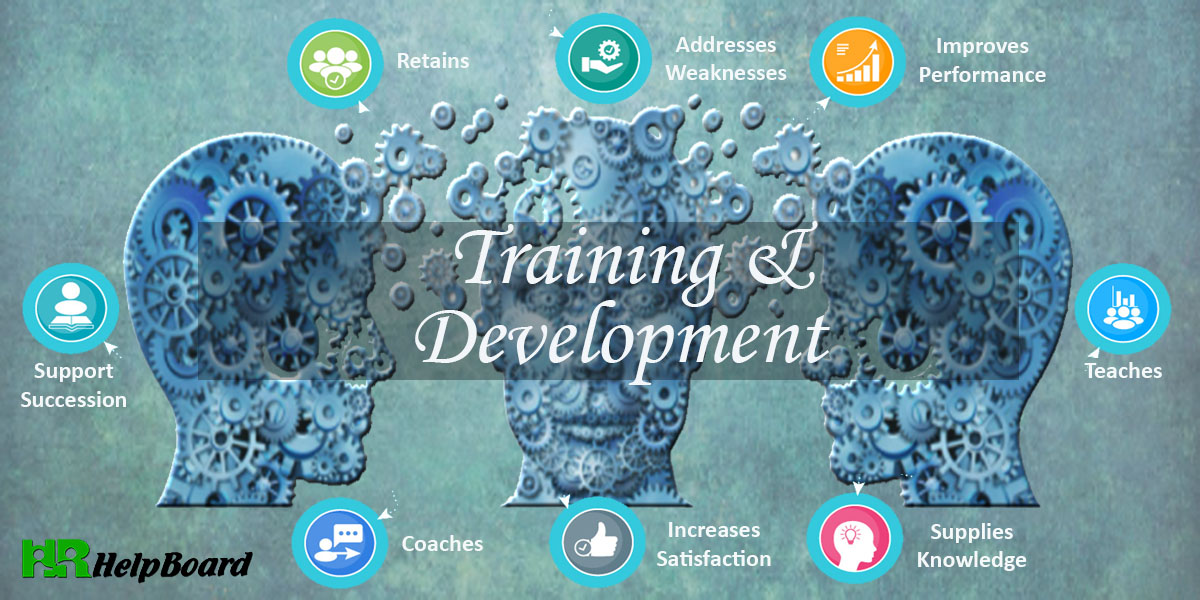 Training And Development Banner