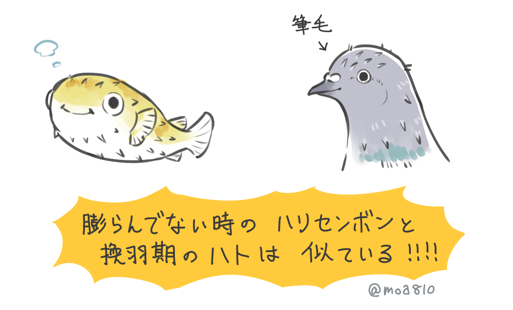 Moa@moa810の漫画作品一覧(3ページ目)