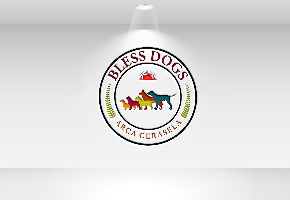 Borun kumar roy (@Borunkumarroy2) | Twitter