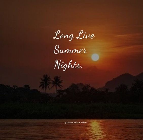 Perfect Summer Night Quotes