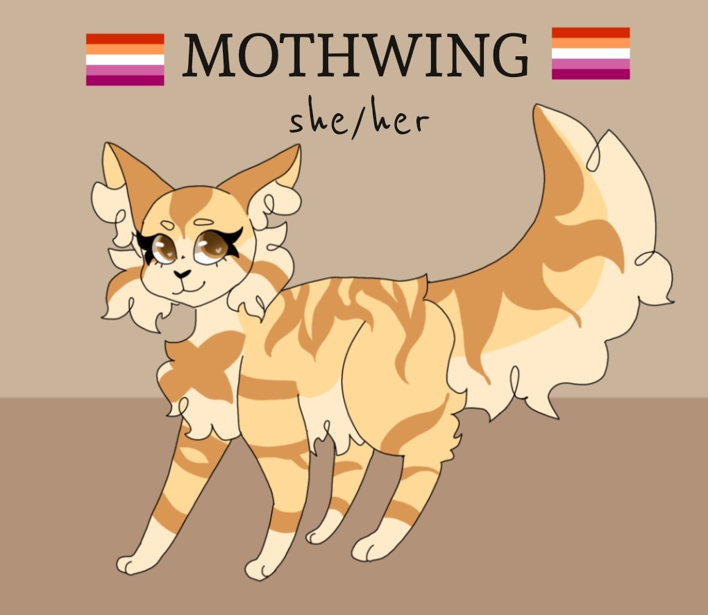 Warrior Cats Mothwing