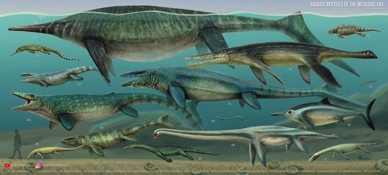 Prehistoric Marine Reptiles