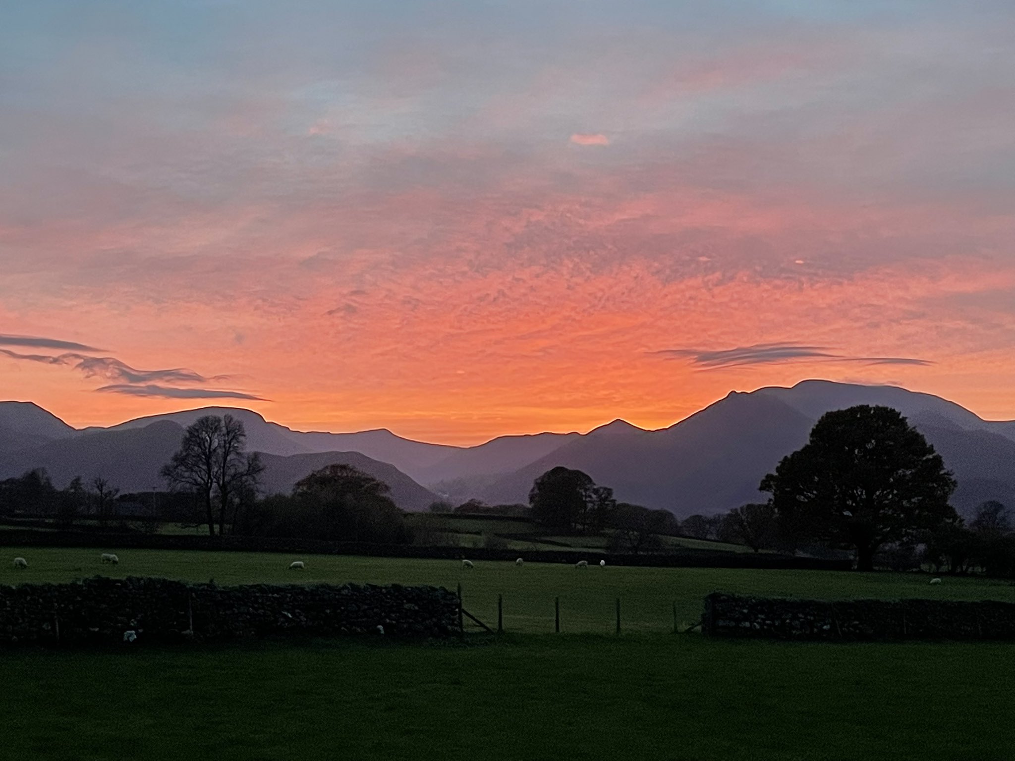 Jonathan Morrell 🏳️‍🌈 (@JonathanMorrell) / Twitter