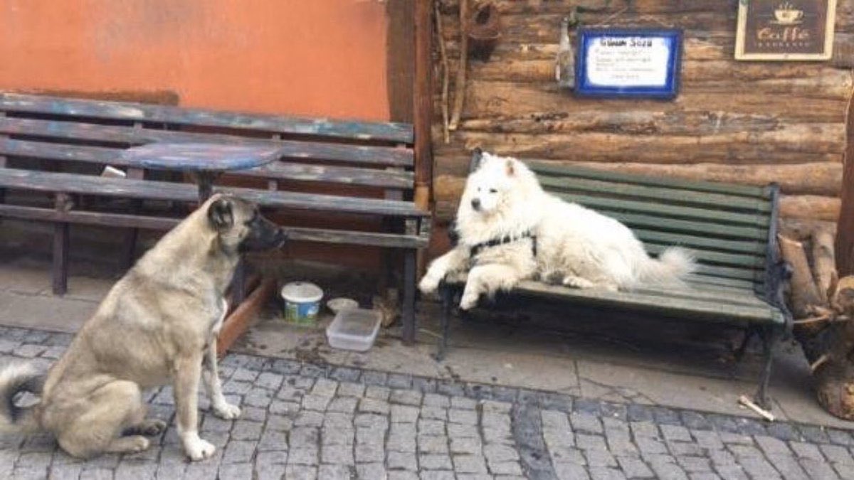 eftâl (@eftalyavuzz) | Twitter