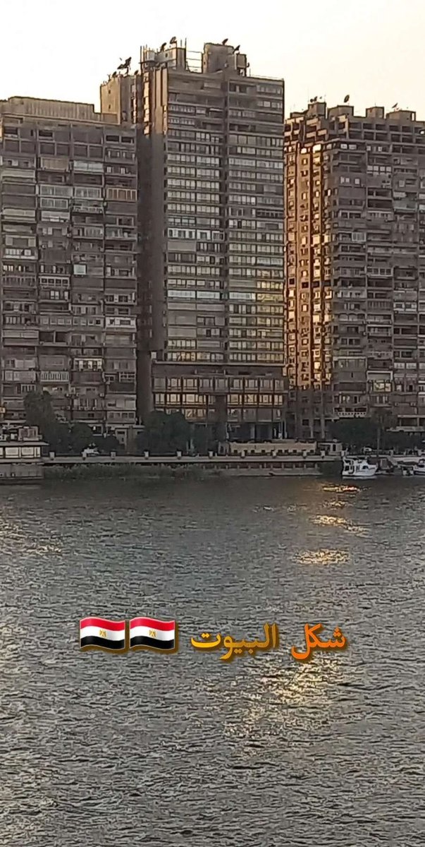 سيد عبدهSayed Abdo 🇪🇬🇪🇬 (@sayed_abdo1car) | Twitter