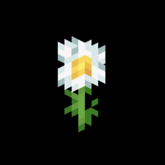 Oxeye Daisy Minecraft