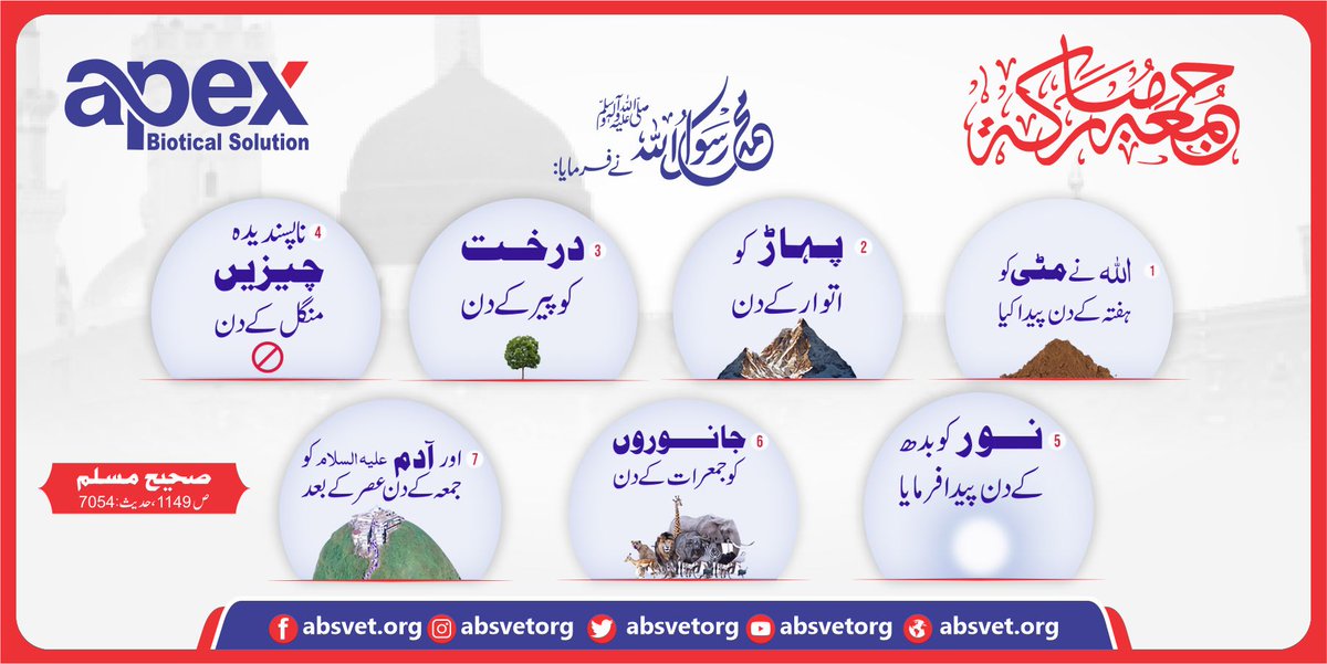 Apex Biotical Solution (@absvetorg) | Twitter