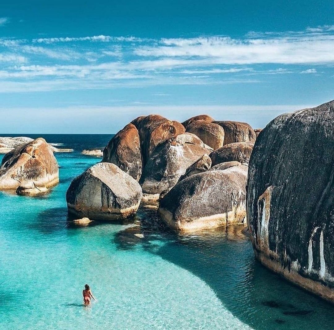 Elephant On The Beach