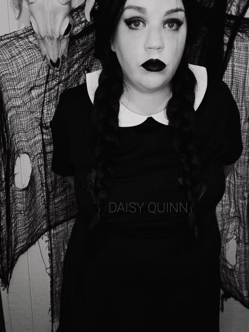 TW Pornstars - Daisy Quinn. Pictures and videos from Twitter.