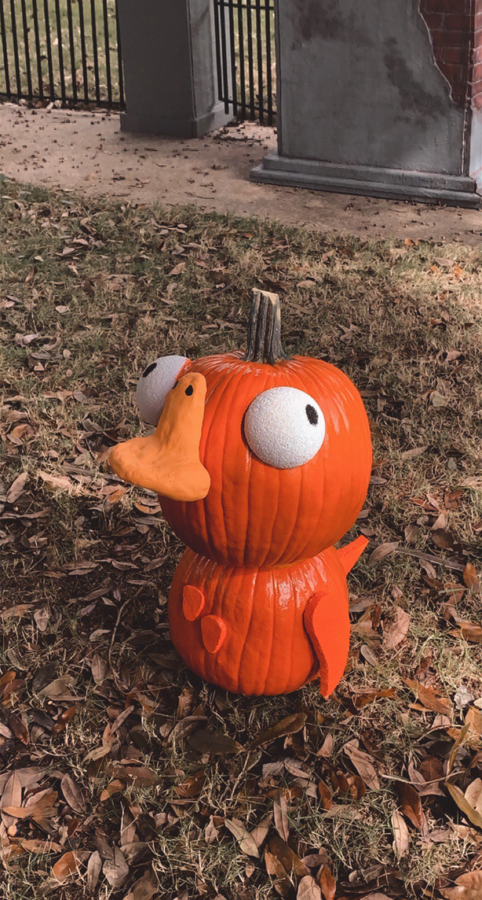 Duck Carved Squash Easy Carved Owl Pumpkins For Halloween