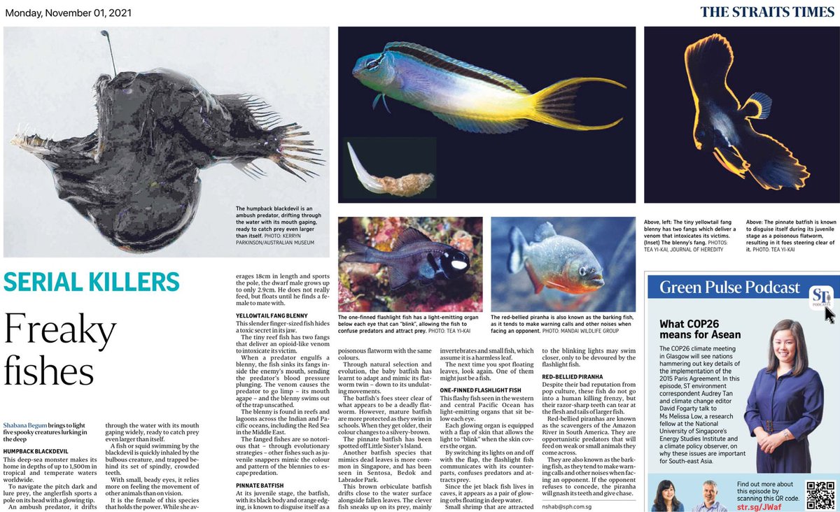 Ok not one but TWO The Straits Times articles today! This one on spooky ...