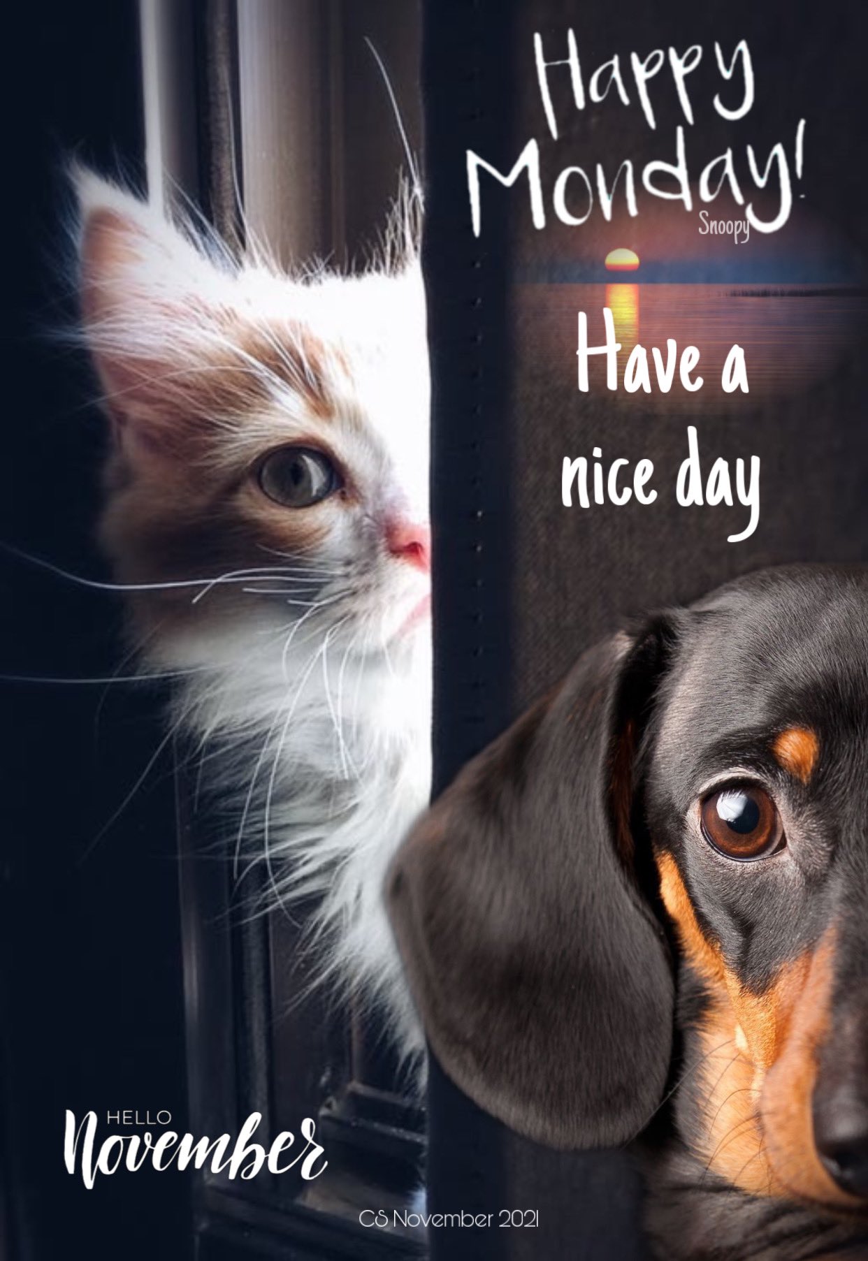 Happy Monday Animal