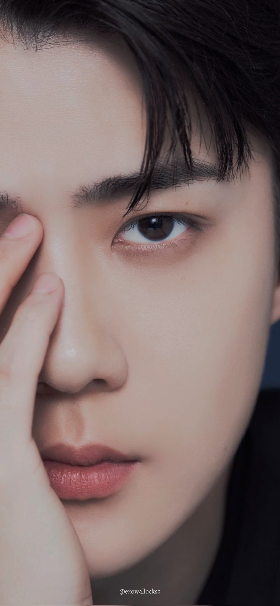 Sehun Background Twitter