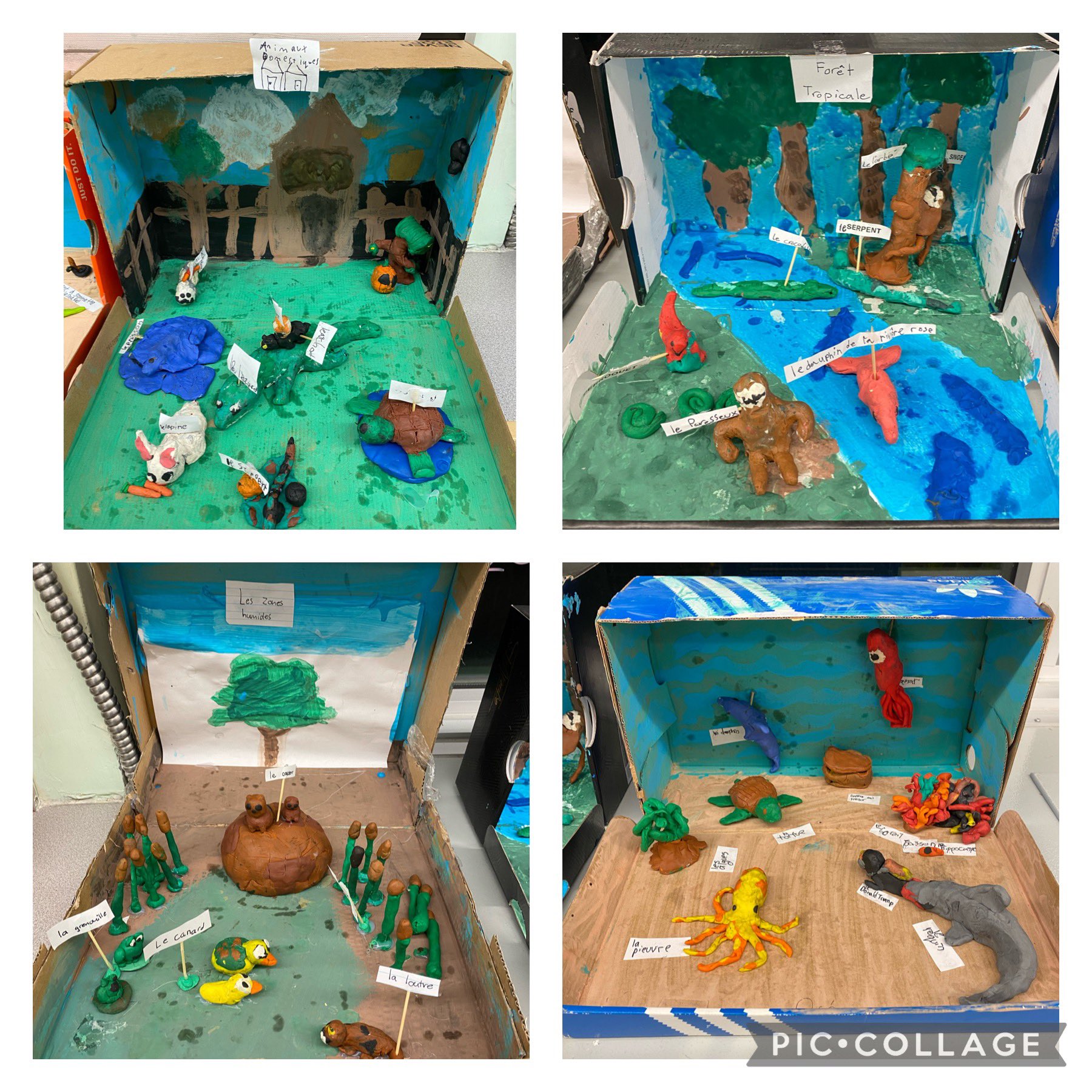 Platypus Habitat Diorama