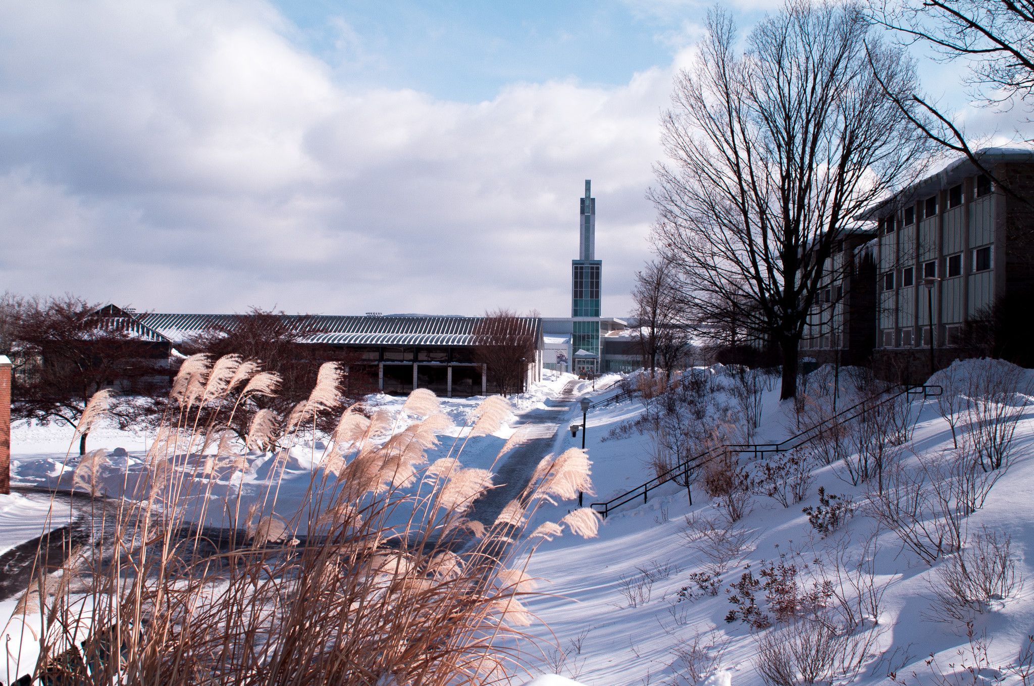Ithaca College Campus Winter