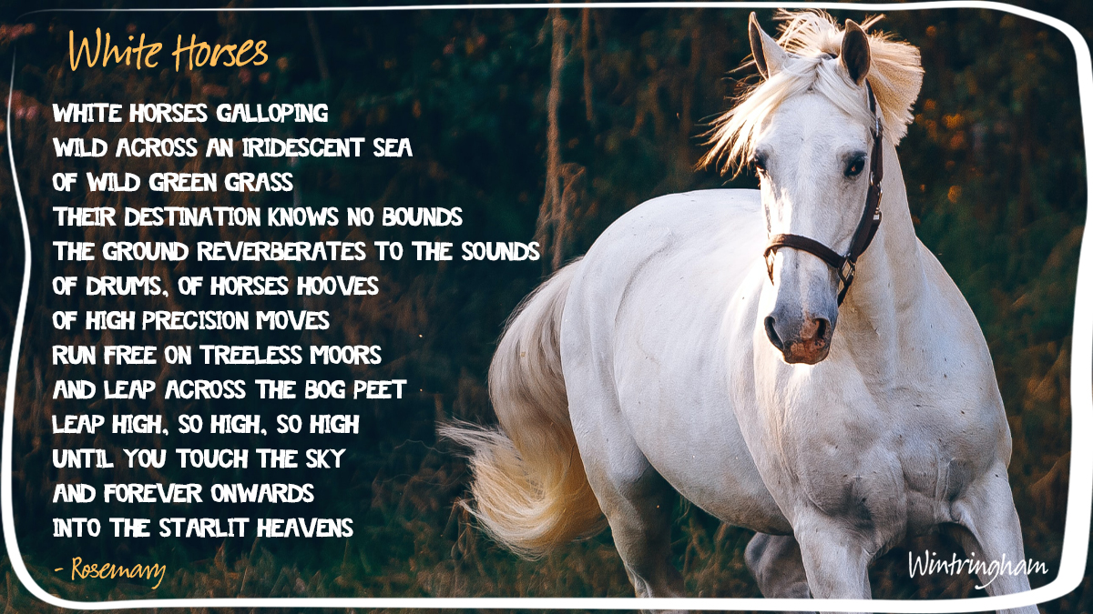 Horse Poems