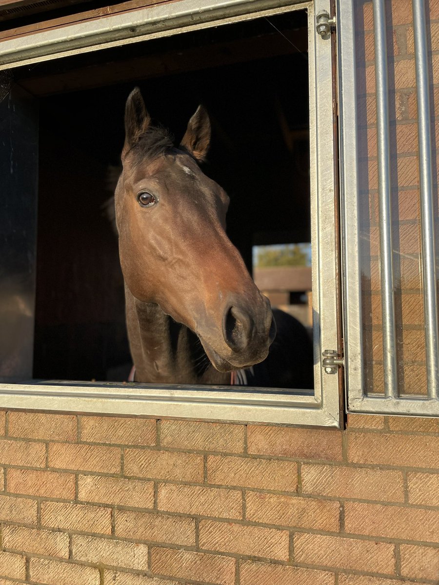 Ruby Red Racing (@RubyRed_Racing) | Twitter