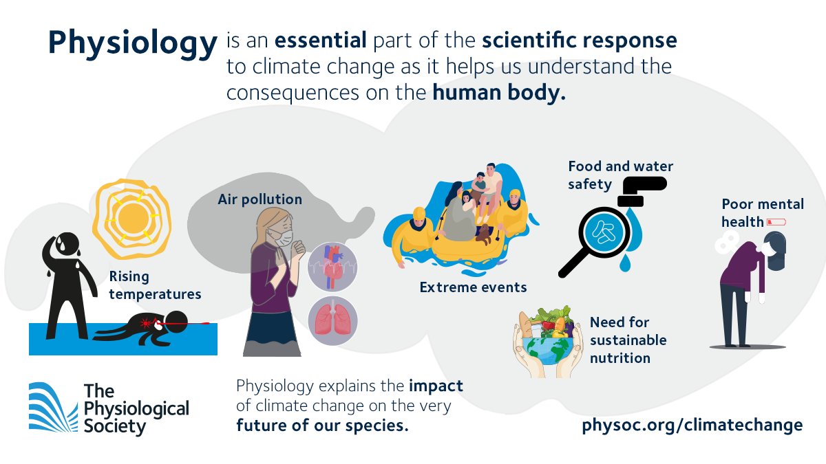 Global Warming Effects On Human Body