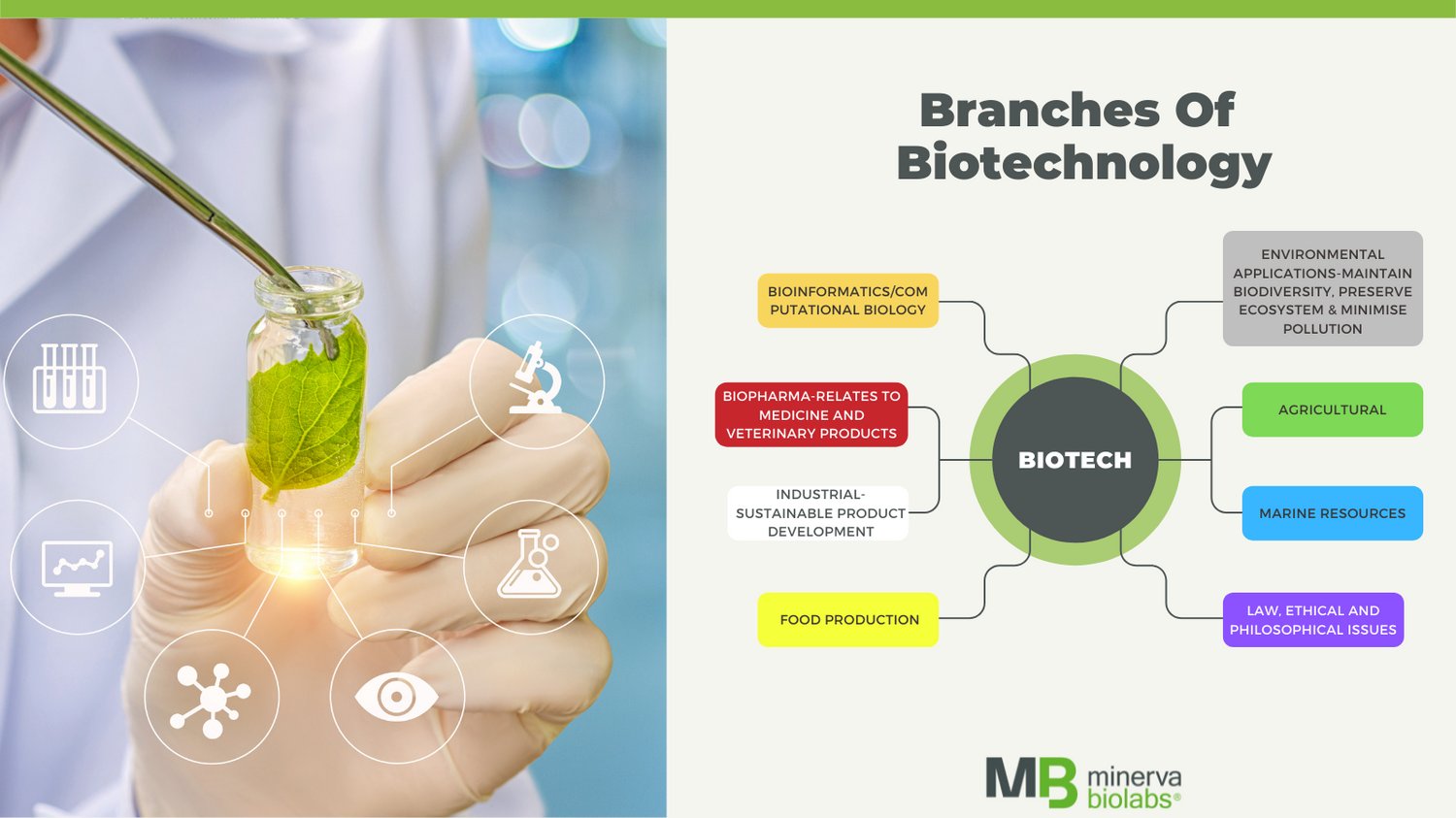Biotechnology Based Products
