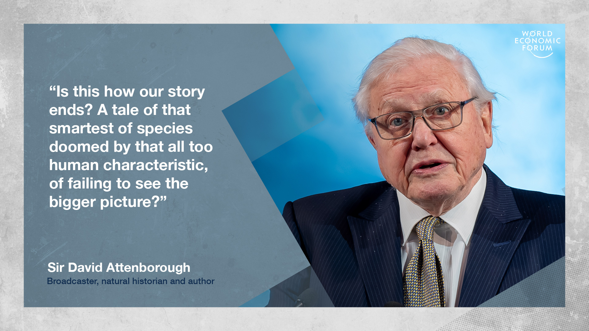 David Attenborough Quotes