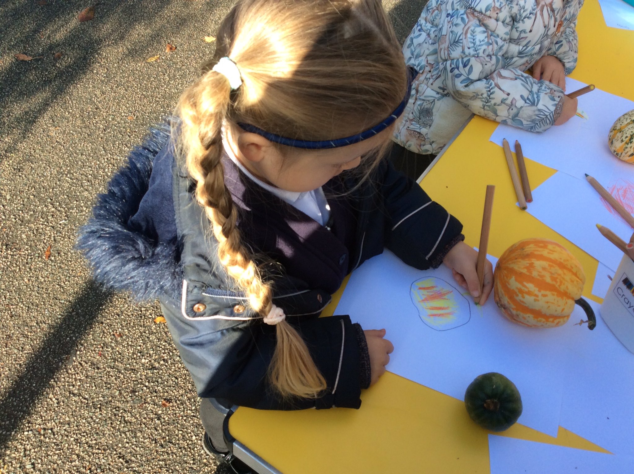 Blakehill Primary on Twitter: "Observational drawing of pumpkins out in ...