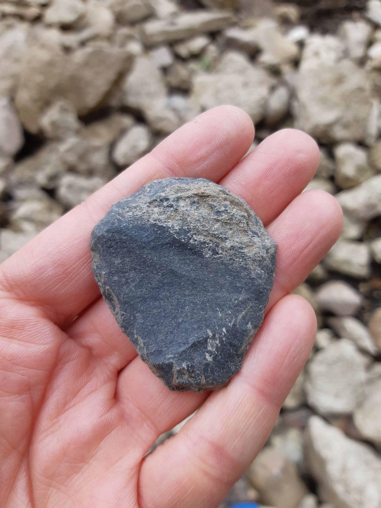 MULTIPALEOIBERIA ERC Project on Twitter: "First artifact of the year at Peña Capón! A very nice ...