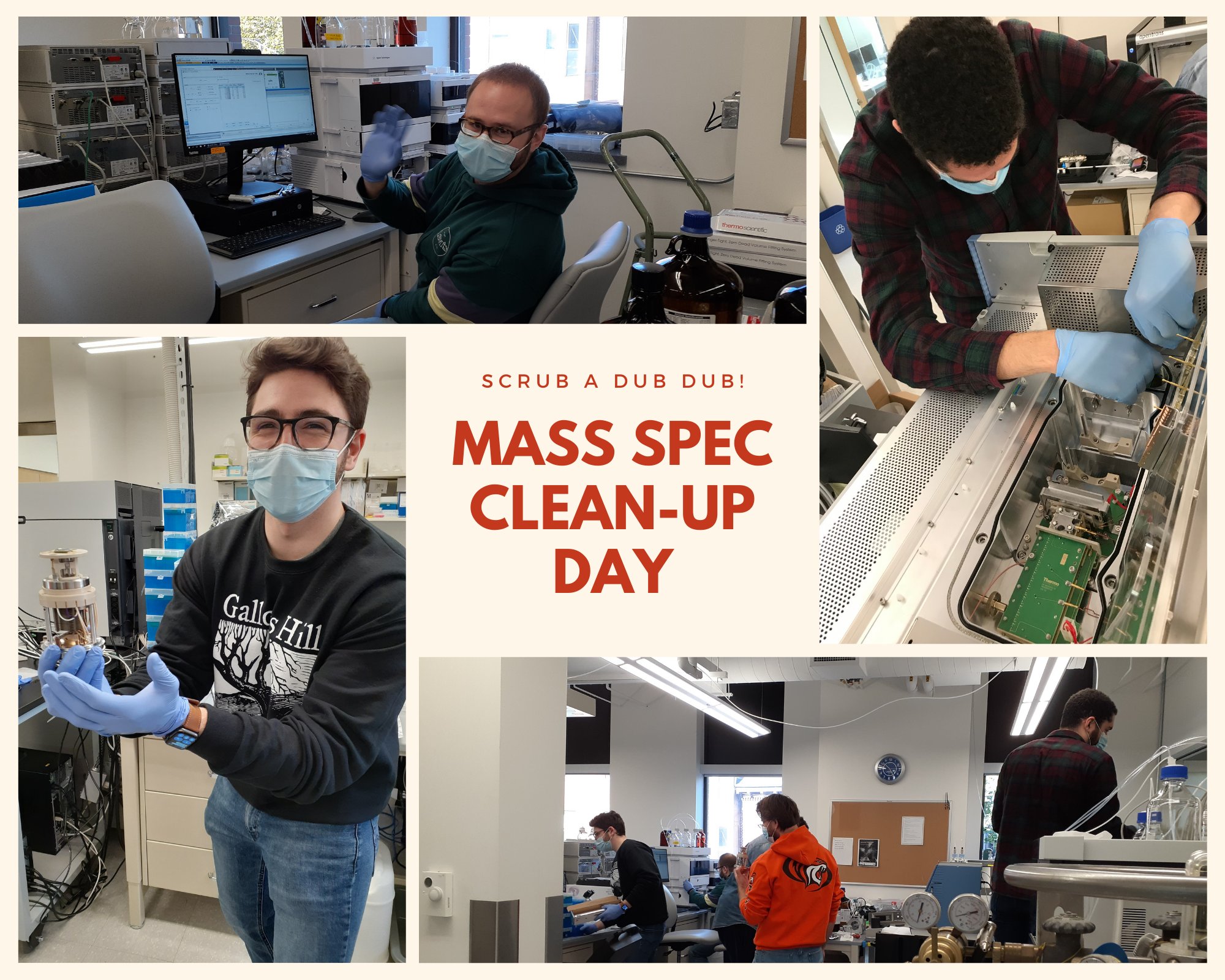 Center for Network Systems Biology, Boston U on Twitter: "Ever wanted to see inside a #MassSpec ...