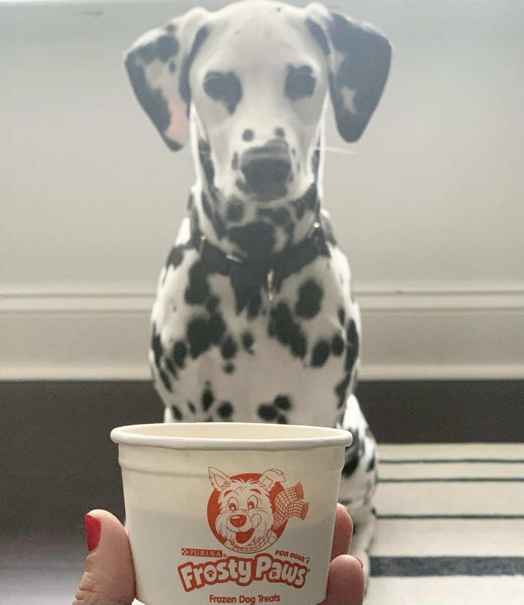 Are Frosty Paws Good For Dogs