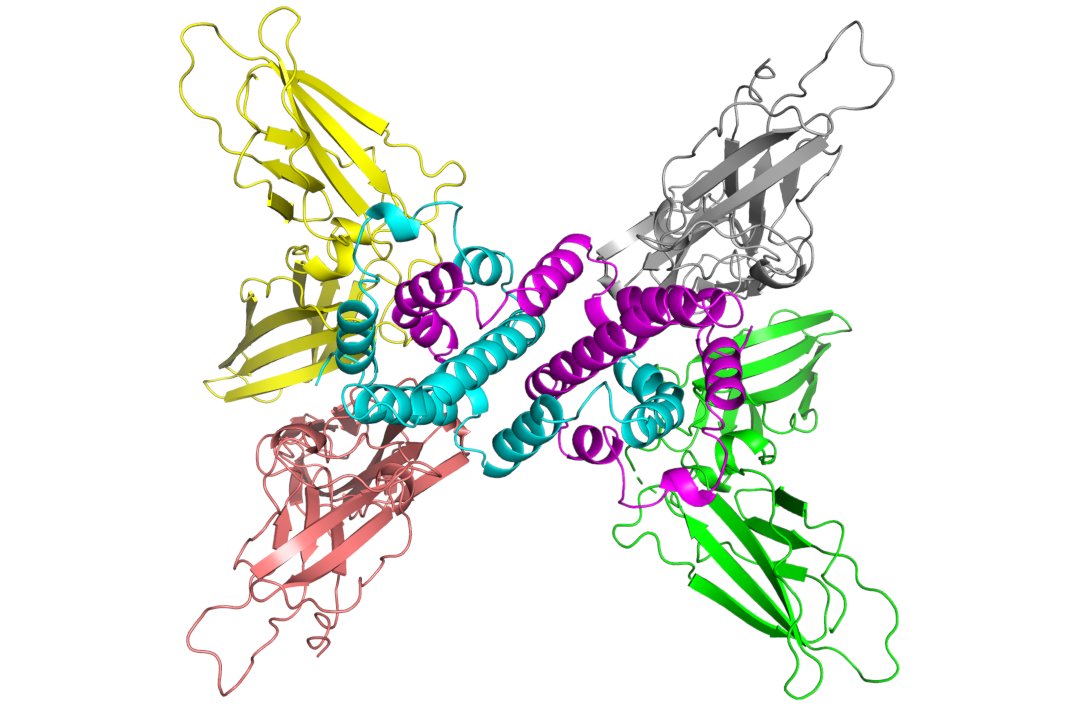 DeepMind on Twitter: "The #AlphaFold source code has been updated and now accounts for multi ...