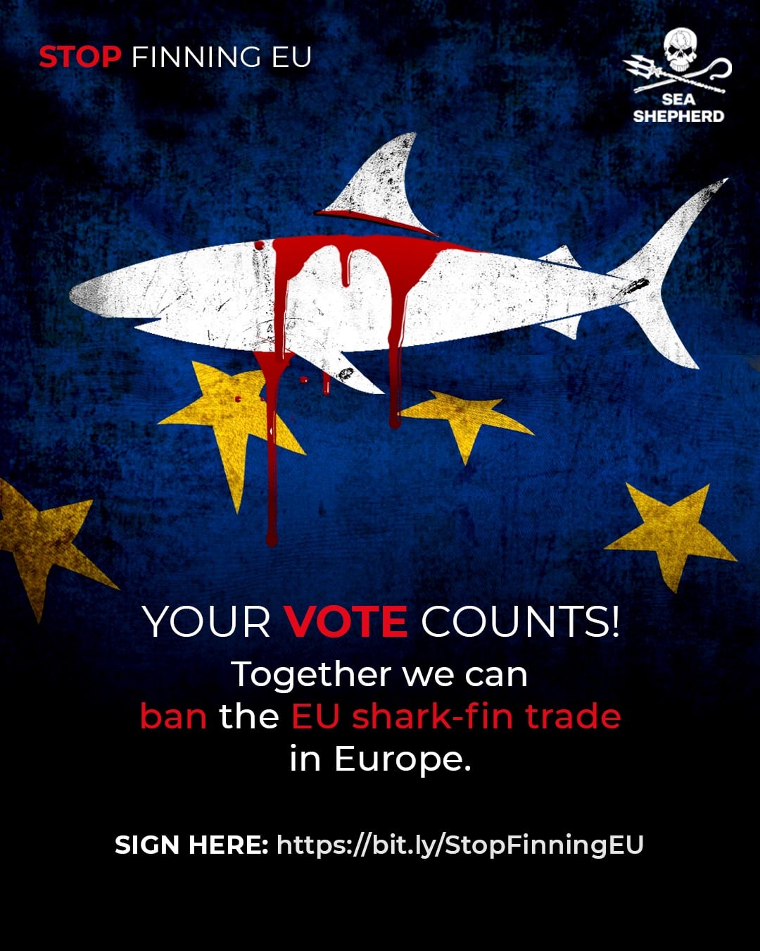 Stop Shark Finning Poster