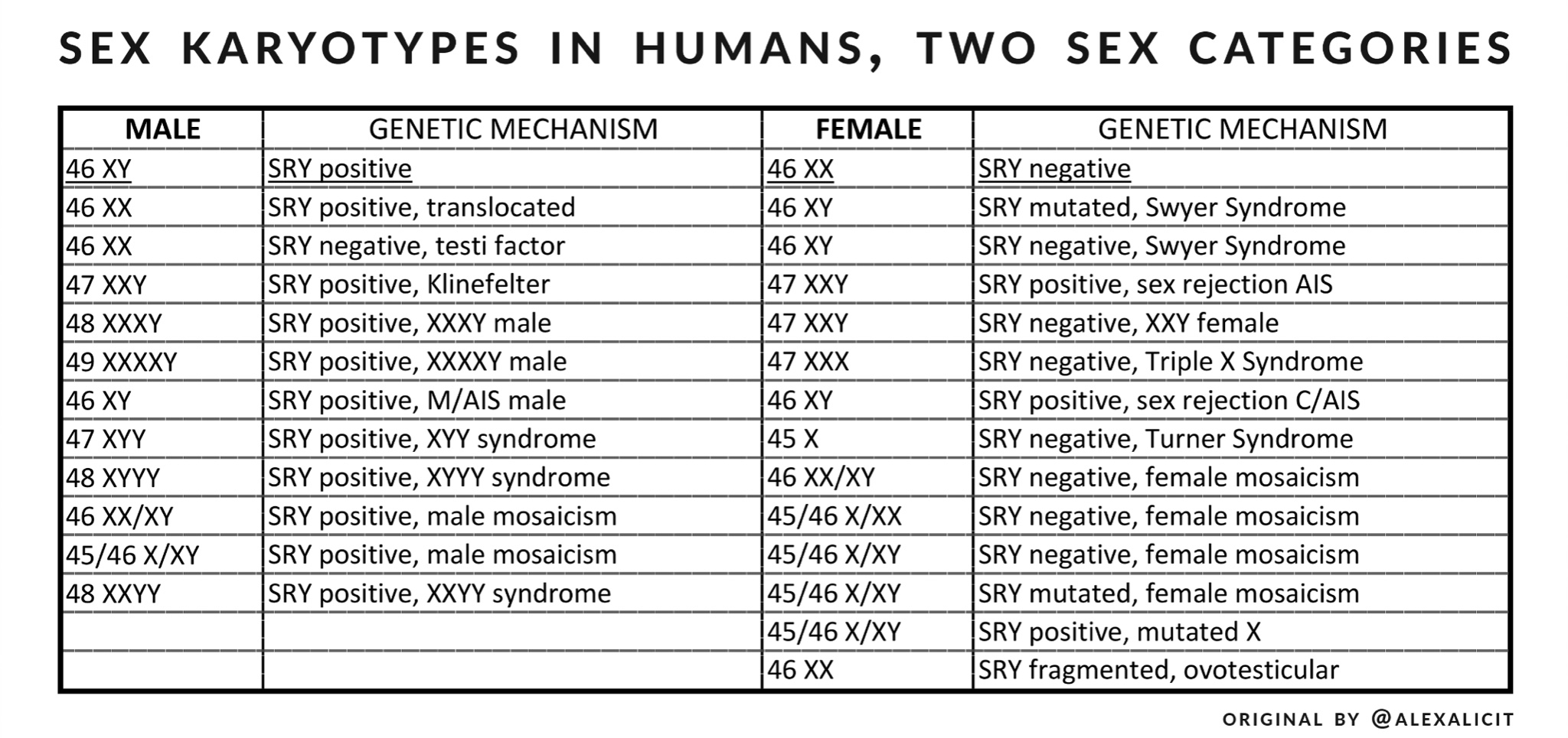 Xxy Karyotype