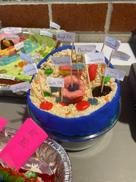 Edible Plant Cell Model Labeled