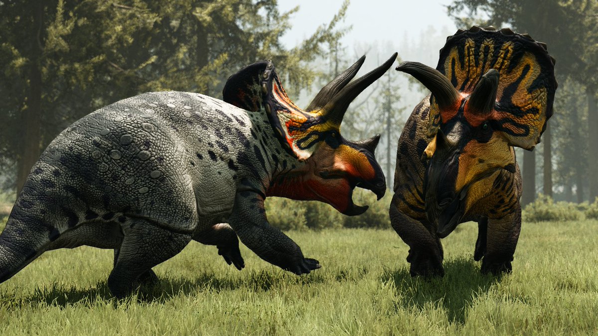Eotriceratops Skull