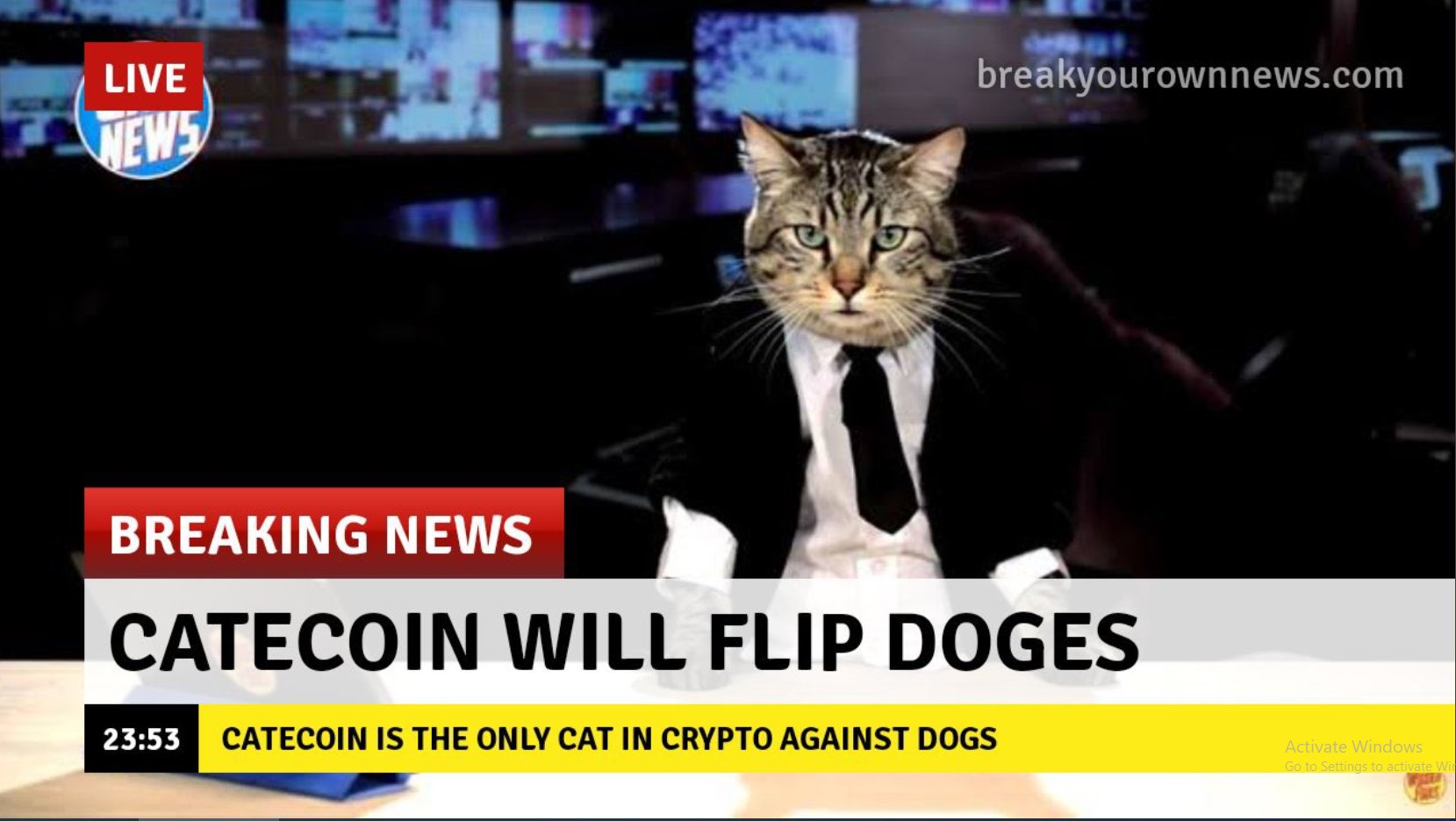 Doge Cate Meme