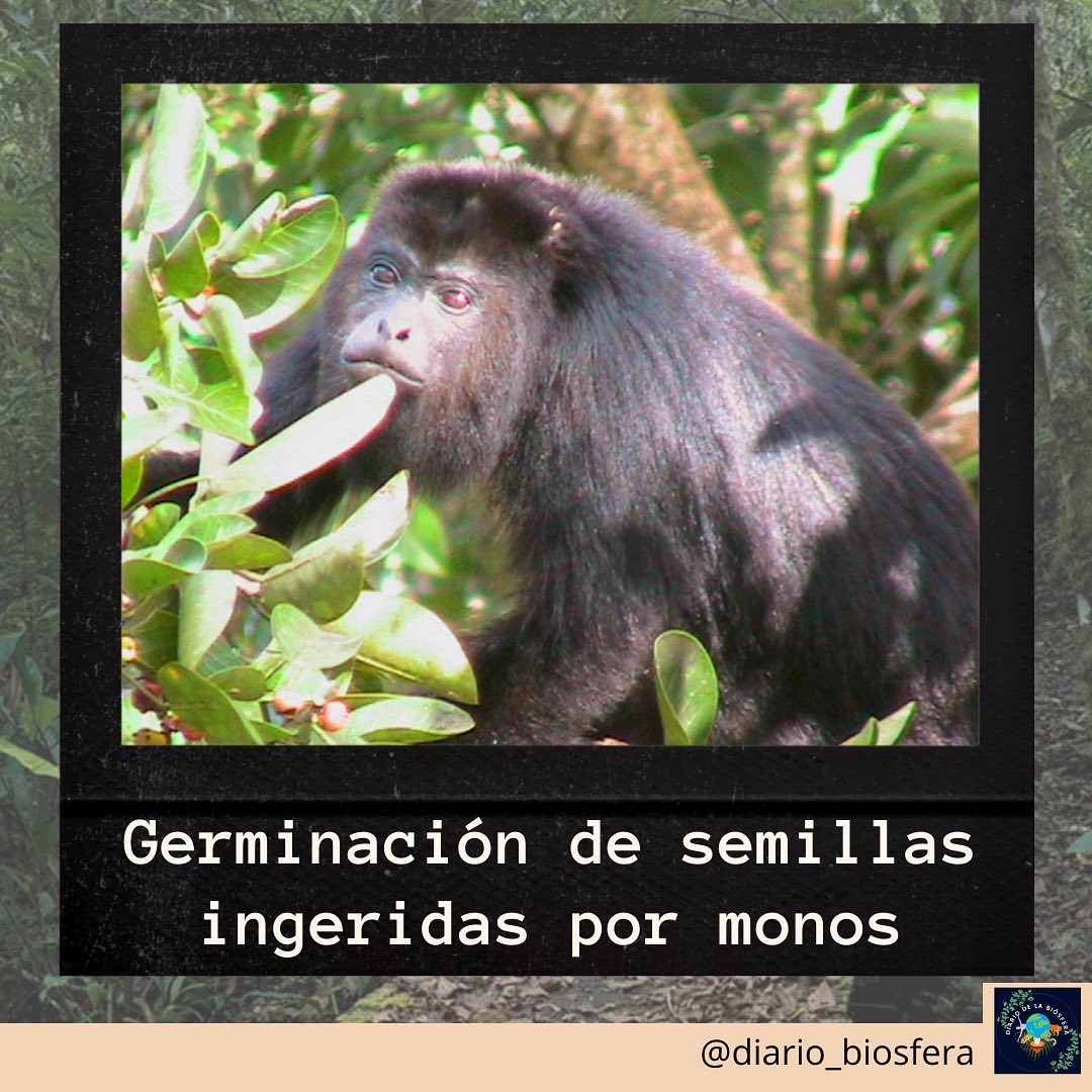 Sof_Murillo (Taylor's Version) (@SofiaAscMurillo) | Twitter