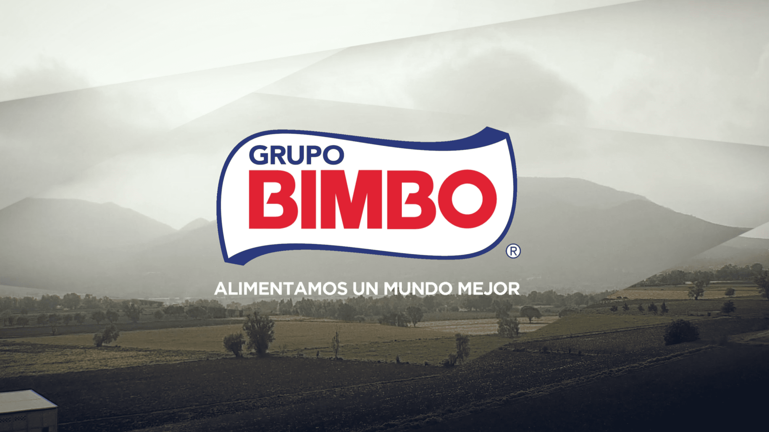 Grupo Bimbo on Twitter: "#Sustentabilidad | Sabemos que el futuro se construye hoy. Por eso ...