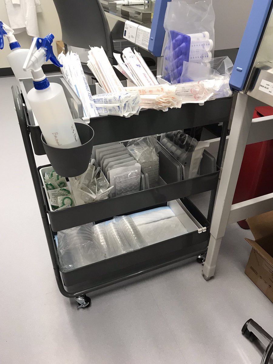 The Baldwin Lab (@BaldwinLab) | Twitter