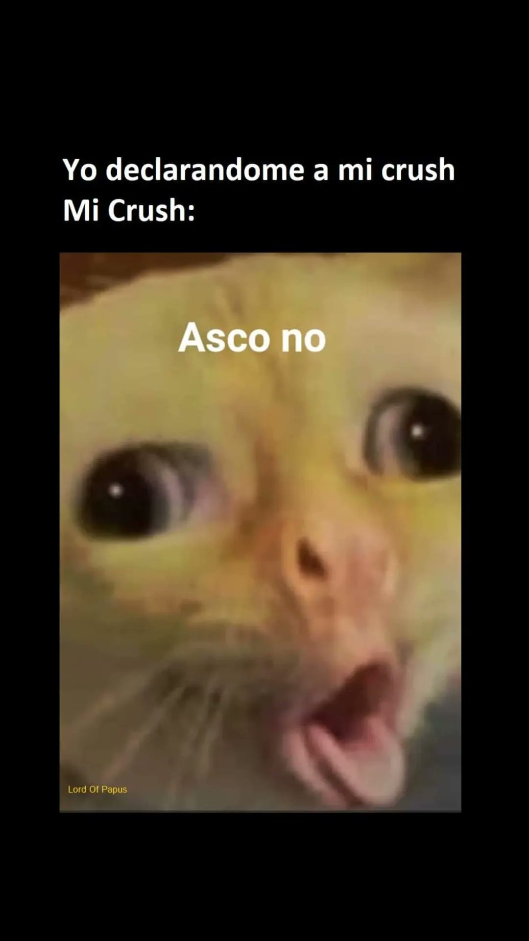 Memes De Vomitados JUDAS HIZO QUÉ?!?!?!? ¡¿PARA QUÉ?!?!?!