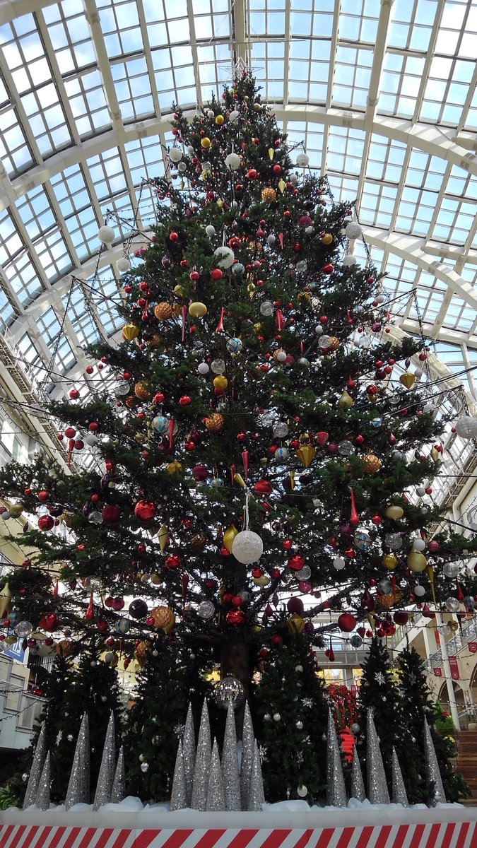 はまなす (@hamanasu_soba) | Twitter