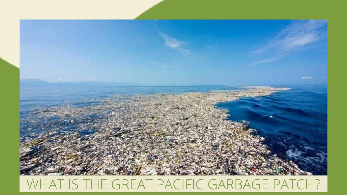 Great Pacific Garbage Patch Size